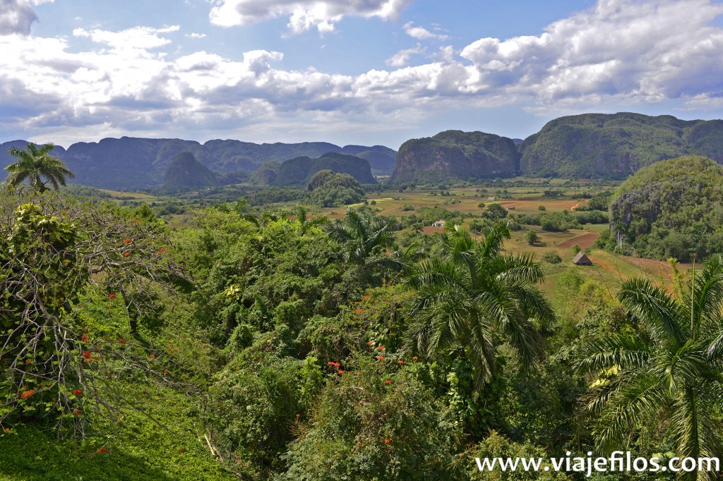 Viaje a Cuba por libre. Que hacer en el Valle de Viñales | viajefilos.com