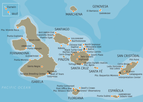 Como organizar tu viaje a Galápagos | viajefilos.com